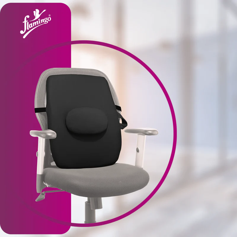 Flamingo Large Foam Back Rest for Lumbar Support | Medikart India’s ...